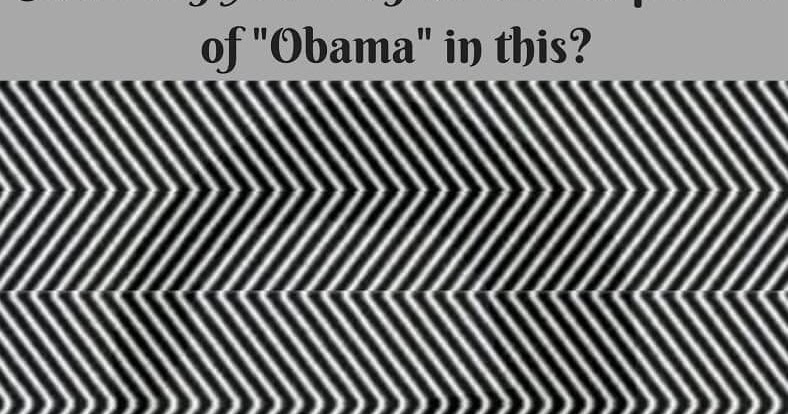 Discover Hidden Faces: Visual Puzzles with a Twist