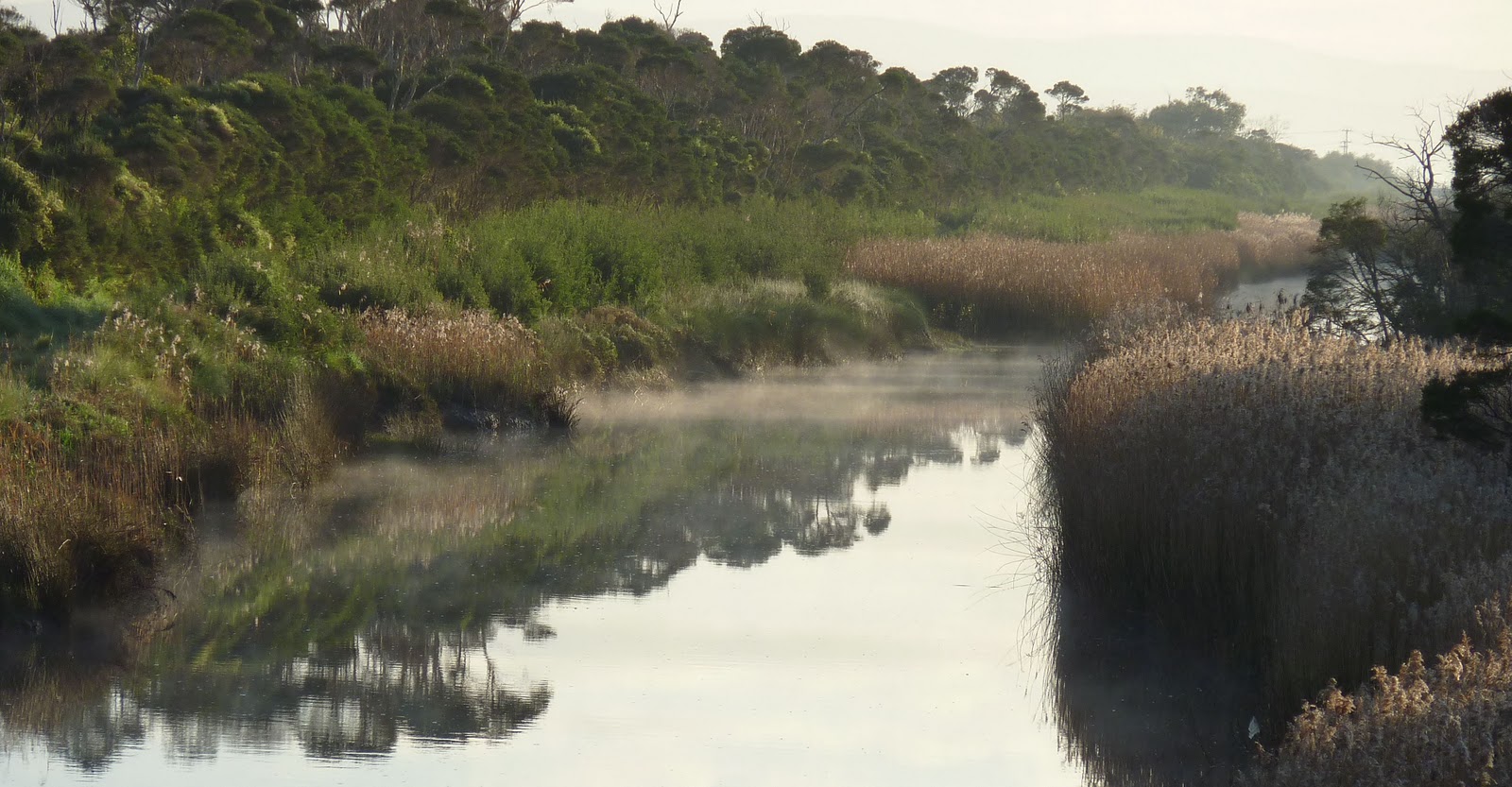 creating western port: the great swamp