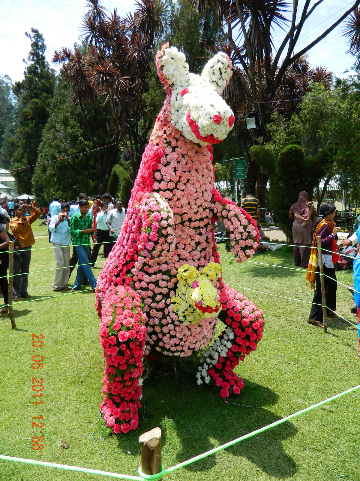 Wonderfully awkward: A morning of gratitude