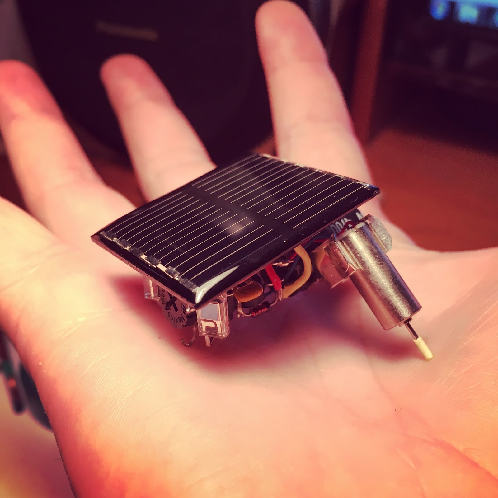 Bold City Beam Robotics: Betabot Photopopper