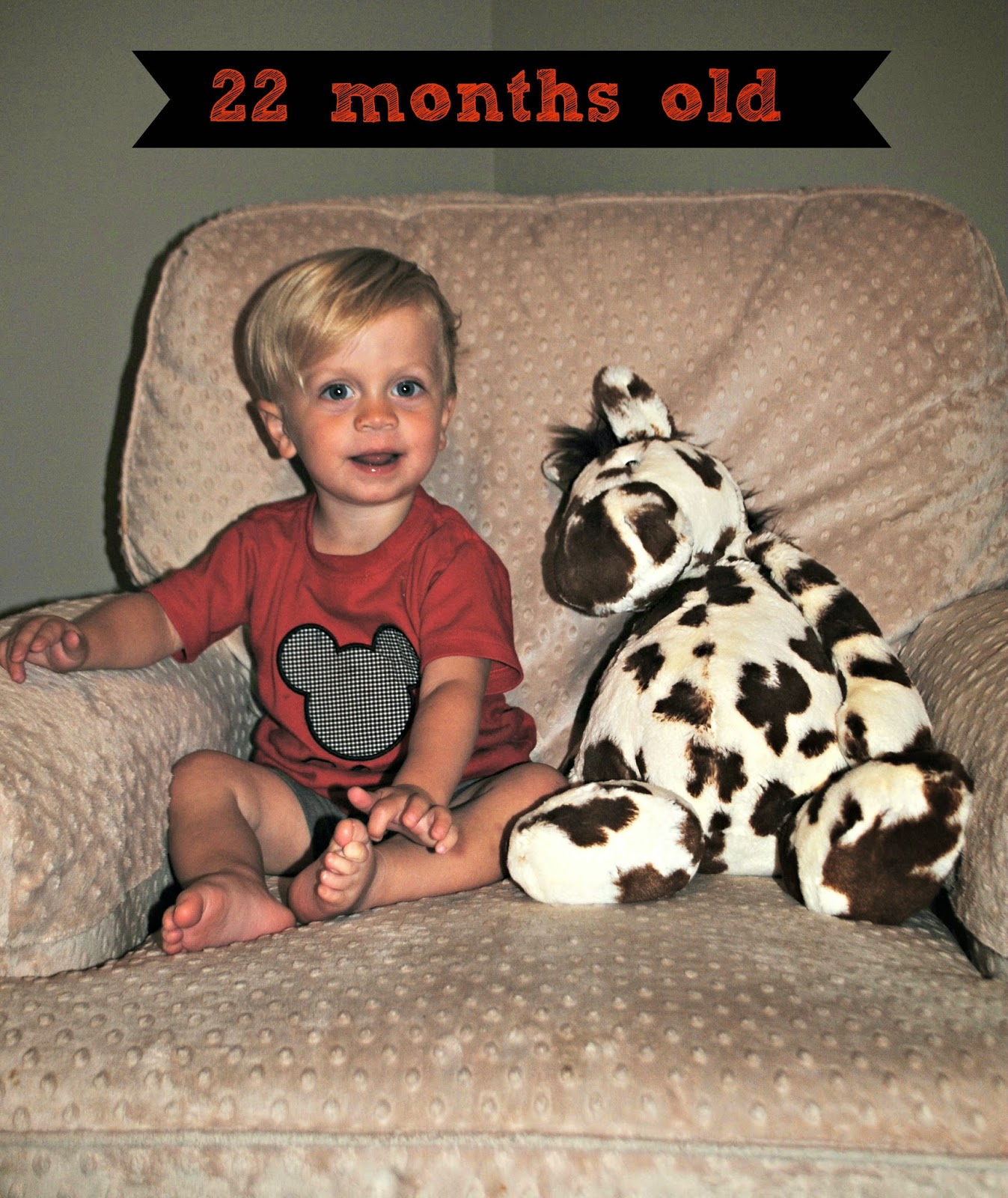 Moments with the Mays: Griffin is 22 months old!