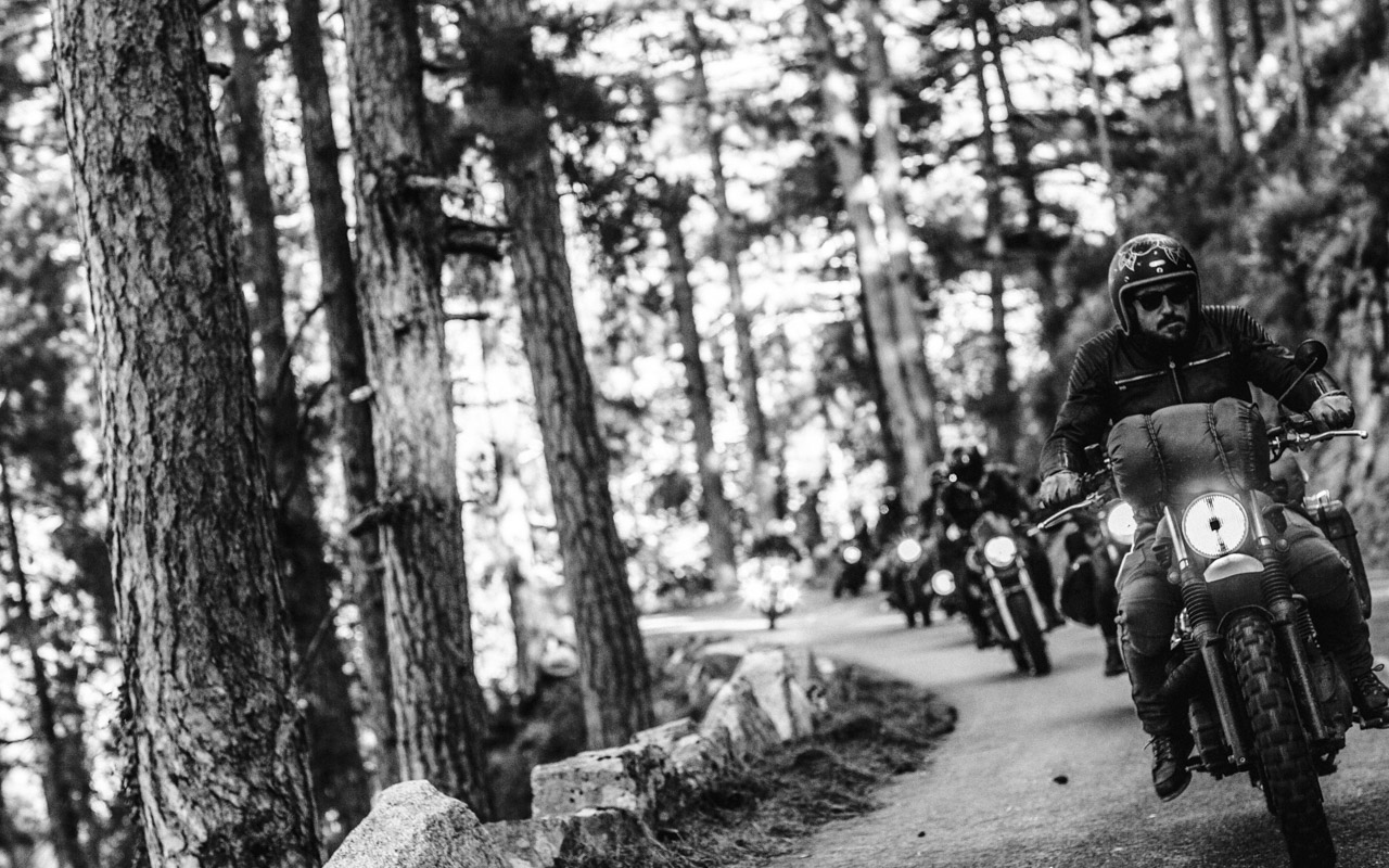 LE CONTAINER: Don Papa Ride! dav.