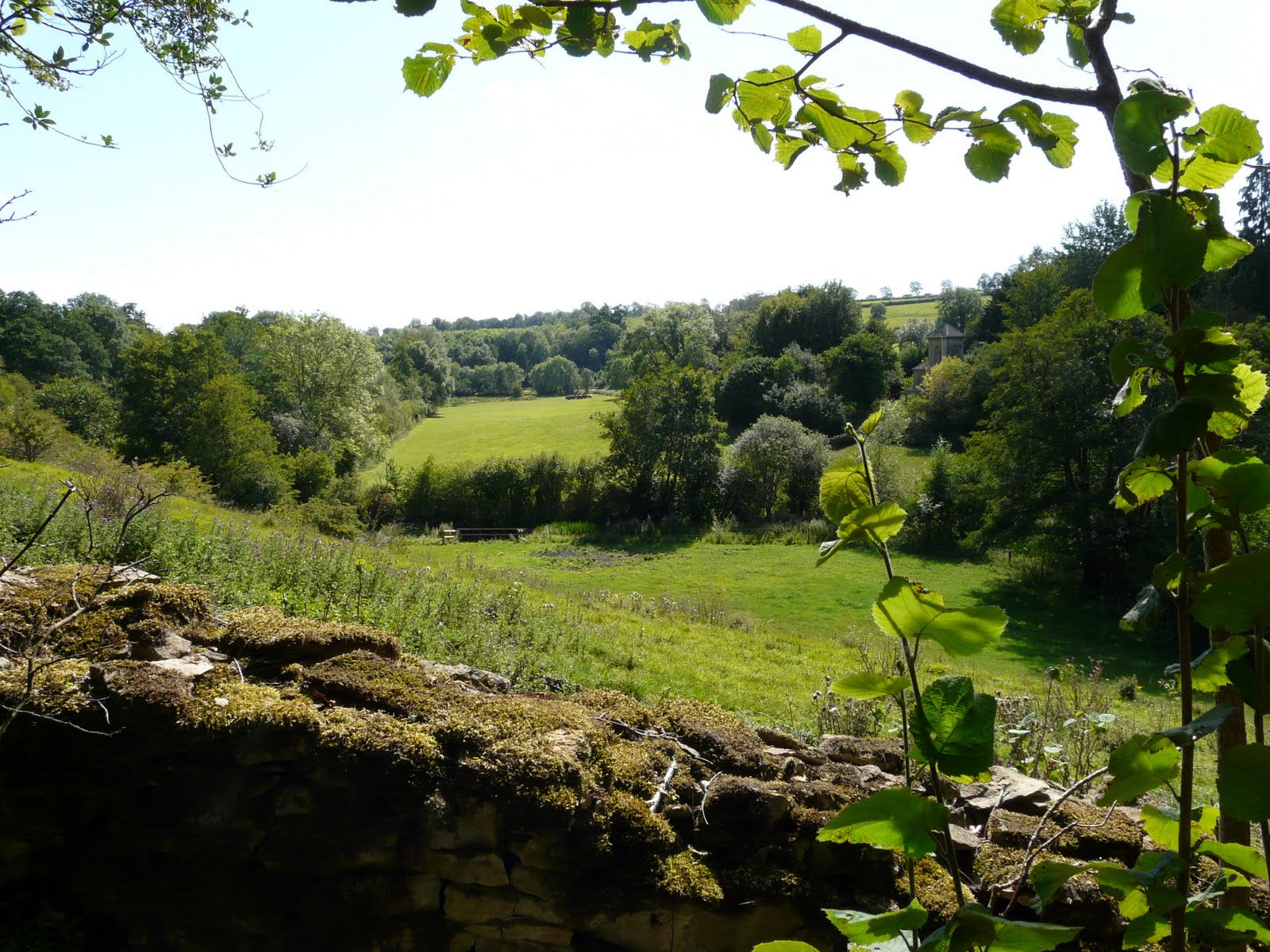 Foraging in The Cotswolds: Rendcomb Village