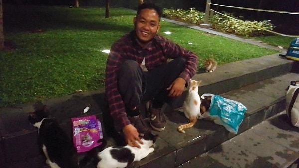 LOOK: A Mystery Man is Protecting and Taking Care of the BGC Cats ...