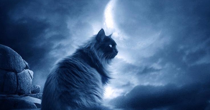 BELDADES GMR: UM GATO, UMA LUA