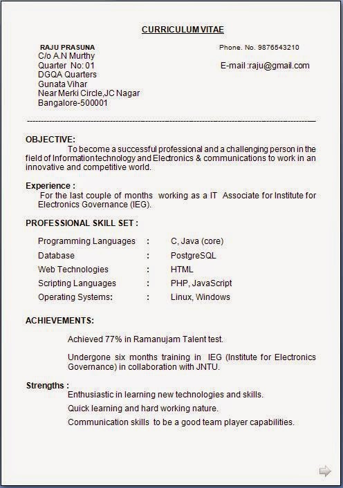 job cv example