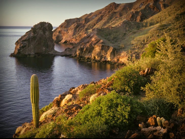 Estado de Sonora: Isla del Tiburon