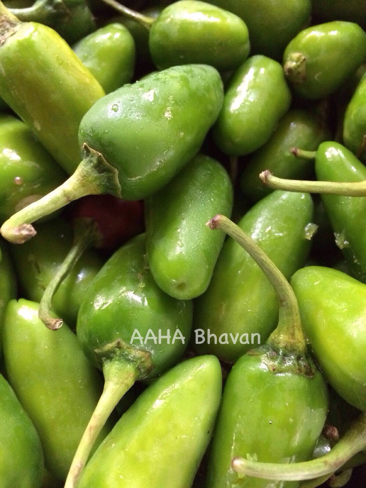 AAHA bhavan: Thayir milagai / Curd chillies