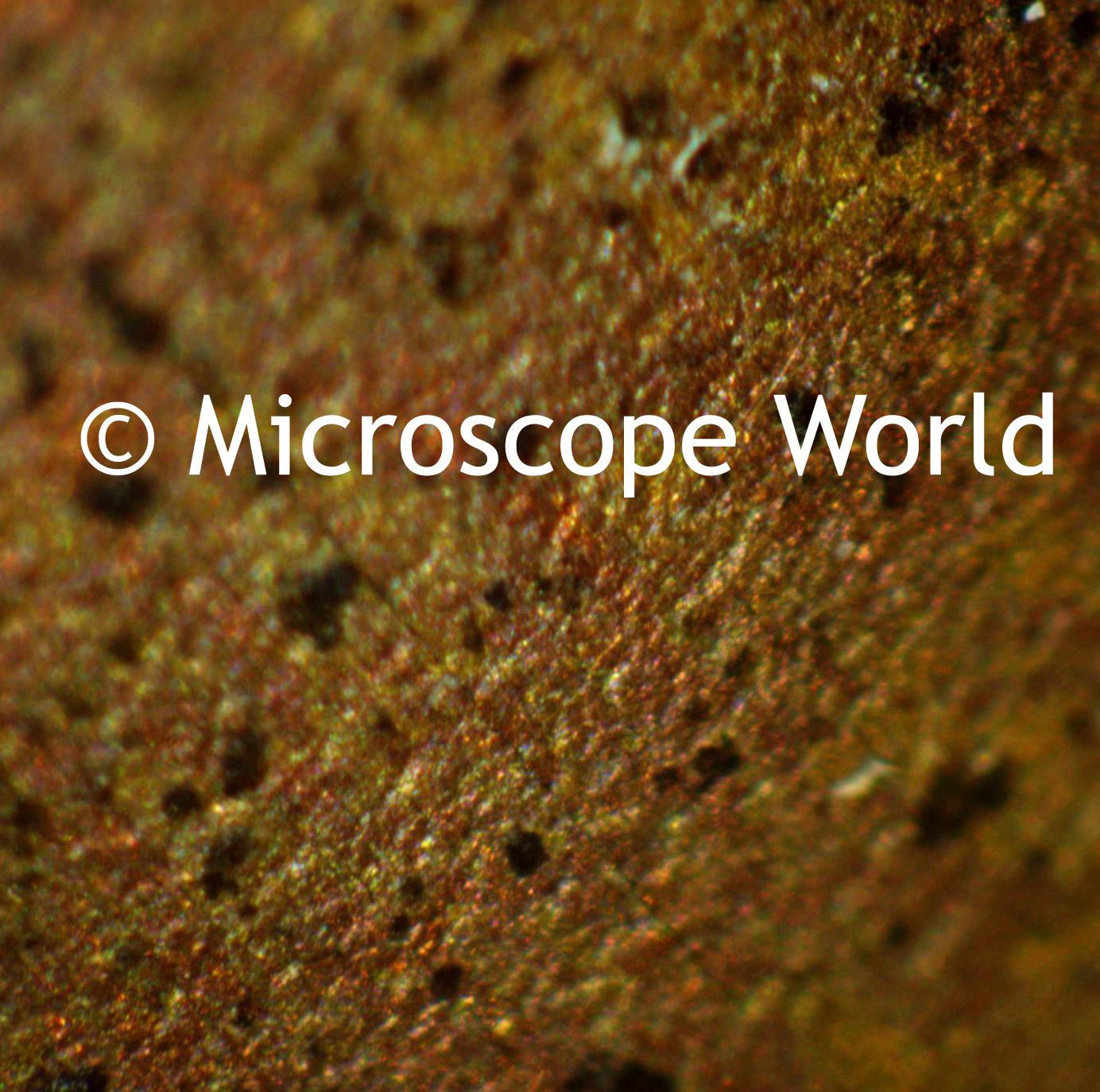 Microscope World Blog: Copper Under the Microscope