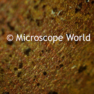 Microscope World Blog: Copper Under the Microscope
