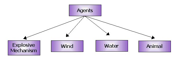 Science Year 5: Note