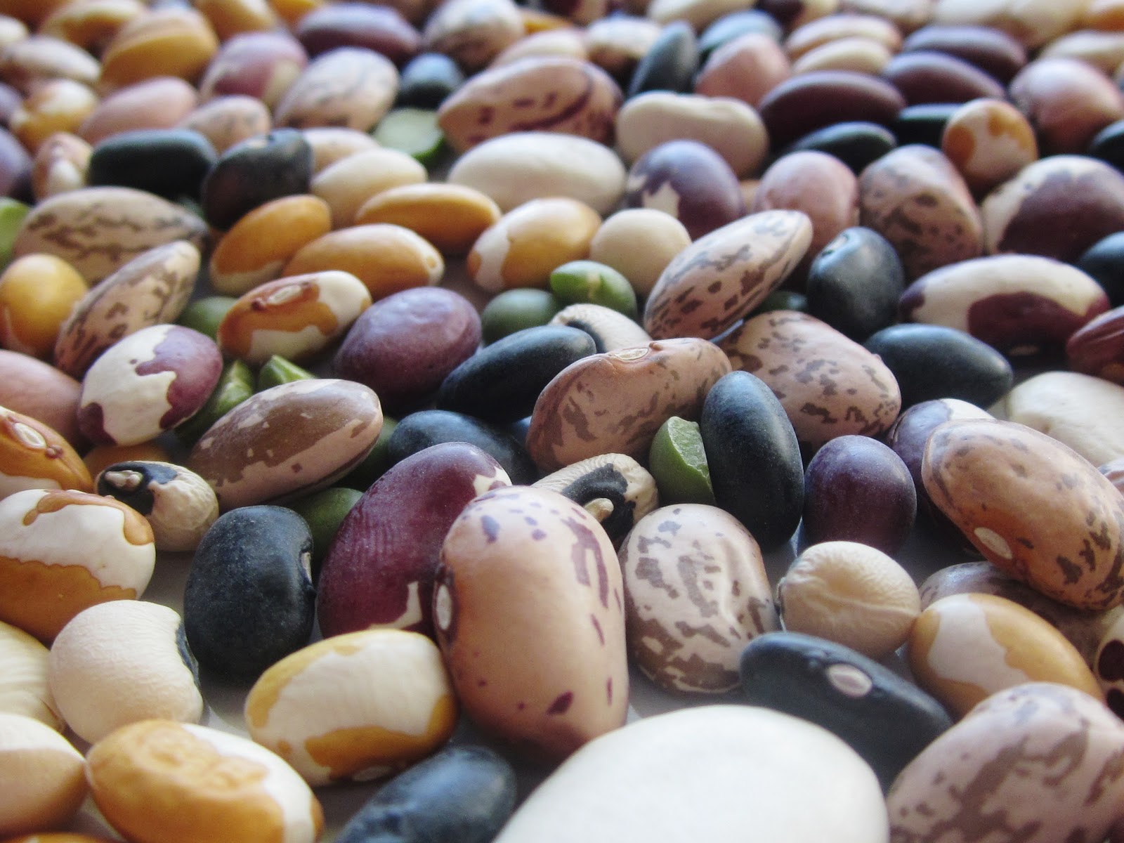 Chef Tess Bakeresse: How You Bean?! Dove Creek, Colorado Rocks!