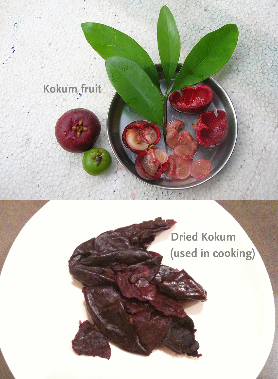 Fat Sister's Guide to Life: April 2011