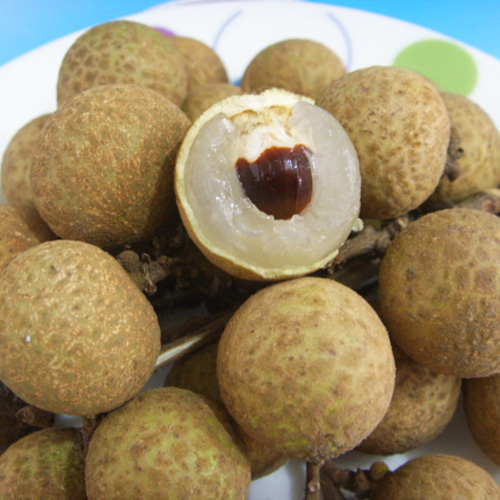 Longán (Dimocarpus longan) - Frutas del mundo
