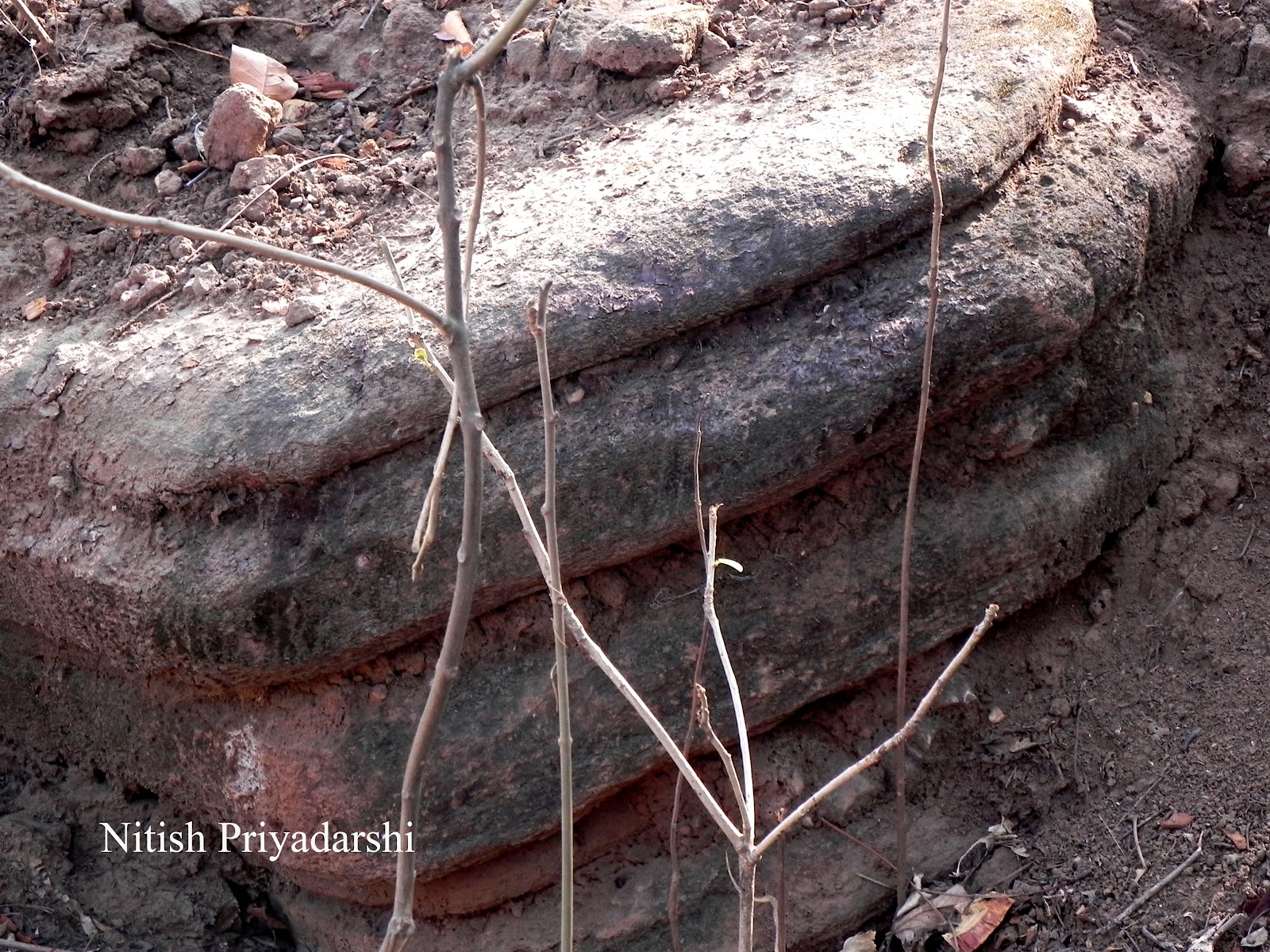 Environment and Geology: Beautiful Weathering structure on the rocks ...