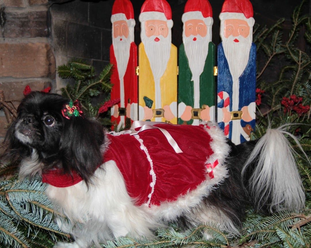 Must Love Pekes: MERRY CHRISTMAS FROM DESI AND WANDA!