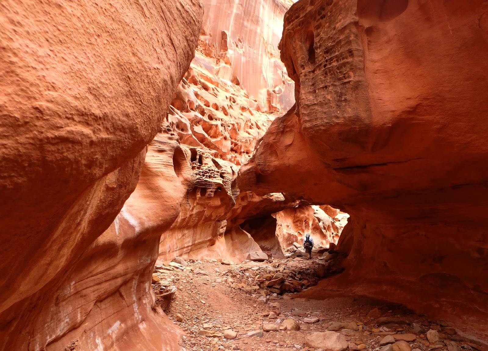 PAMPERED PENGUIN: May 24, 2017 Crack Canyon, San Rafael Swell, Utah
