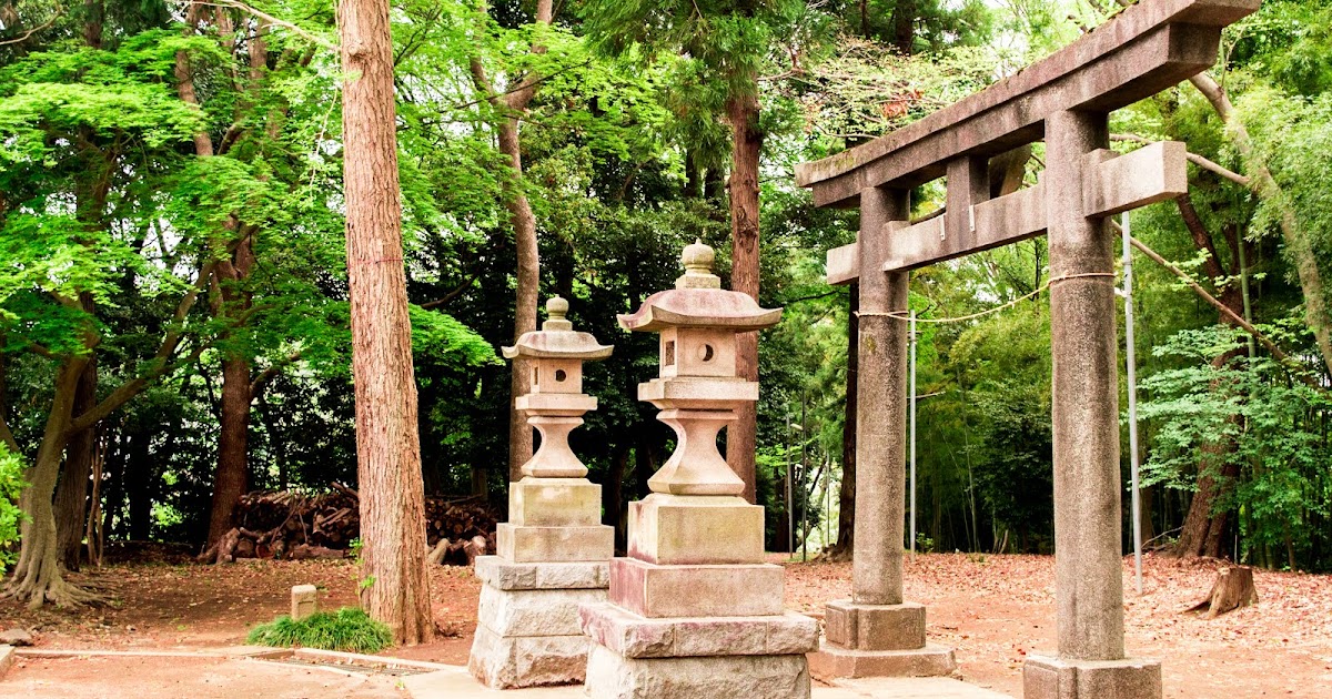 Shinto shrine gates | Focus Viewpoint