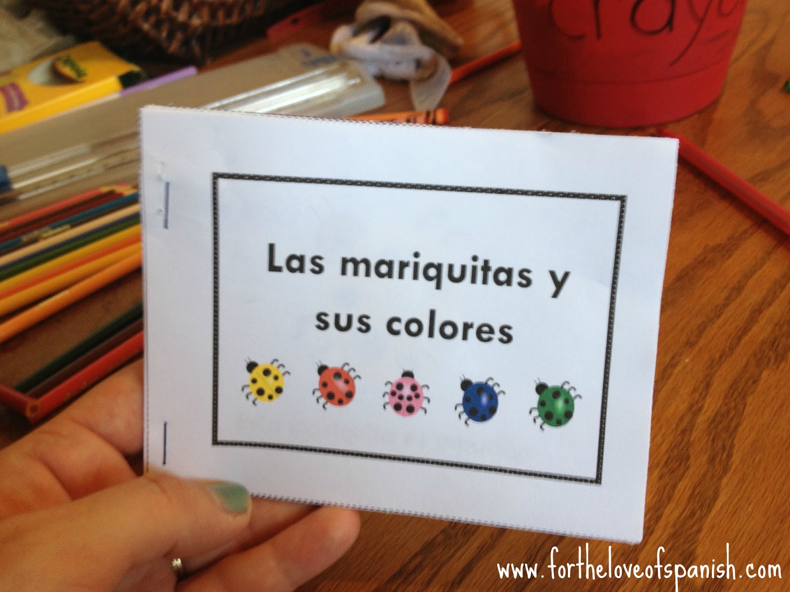 Learn Spanish with Ladybugs // Las mariquitas y sus colores | For the ...