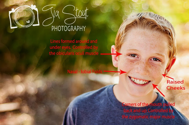 Tia Stout Photography: Did you know......Science behind a Smile