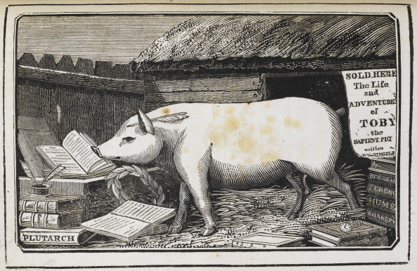 The Edithorial: Professor Porson's Porcine Passions