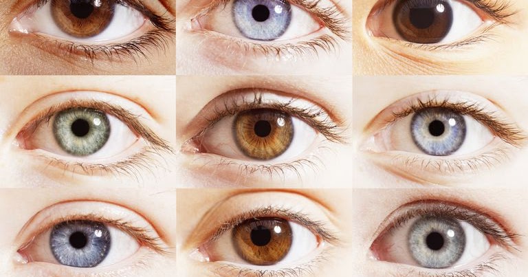 Tipos de ojos y sus correcciones