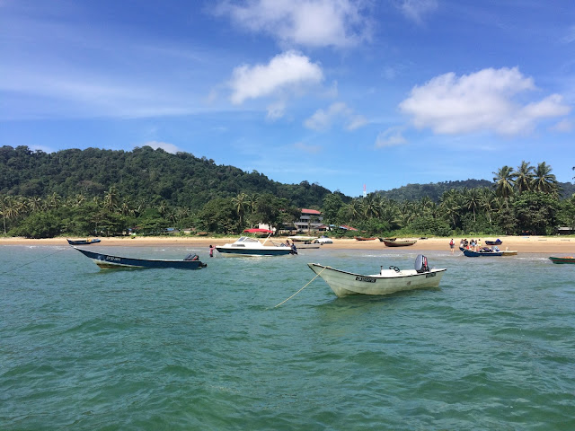 Homestay at Kampung Telok Melano, Sarawak - Sincerely, Alison