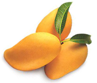 Fruitbasket & Fruit Bouquet: Mango Benefits