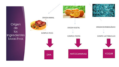 Nutrimarketing by Santana: Ingredientes bioactivos, dónde están?