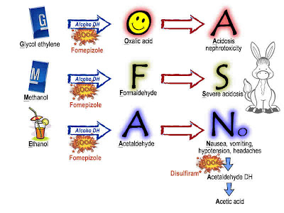 Medical MindMaps for USMLE Step 1: Alcohol Toxicity