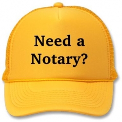 Cat's Eye View @ MPL: Double Your Notary Fun