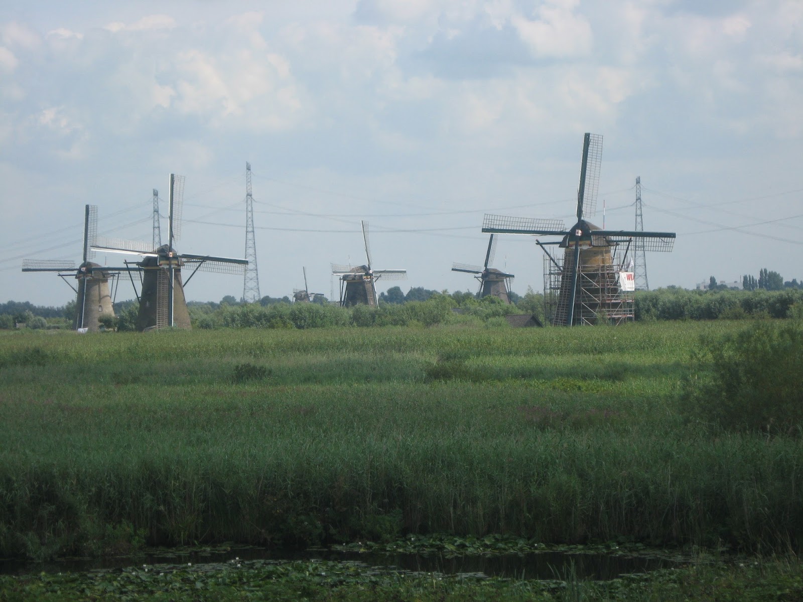 hanviskie: Rijstvelden in de Alblasserwaard