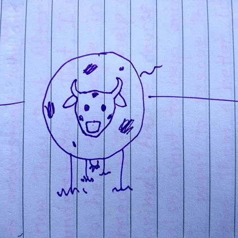 Cow Personality Test – Designed by UC Berkeley psychologists ...