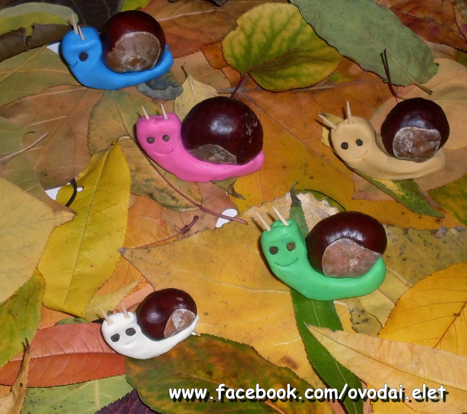 Óvodás Gyerekek: Csiga biga gyere ki...