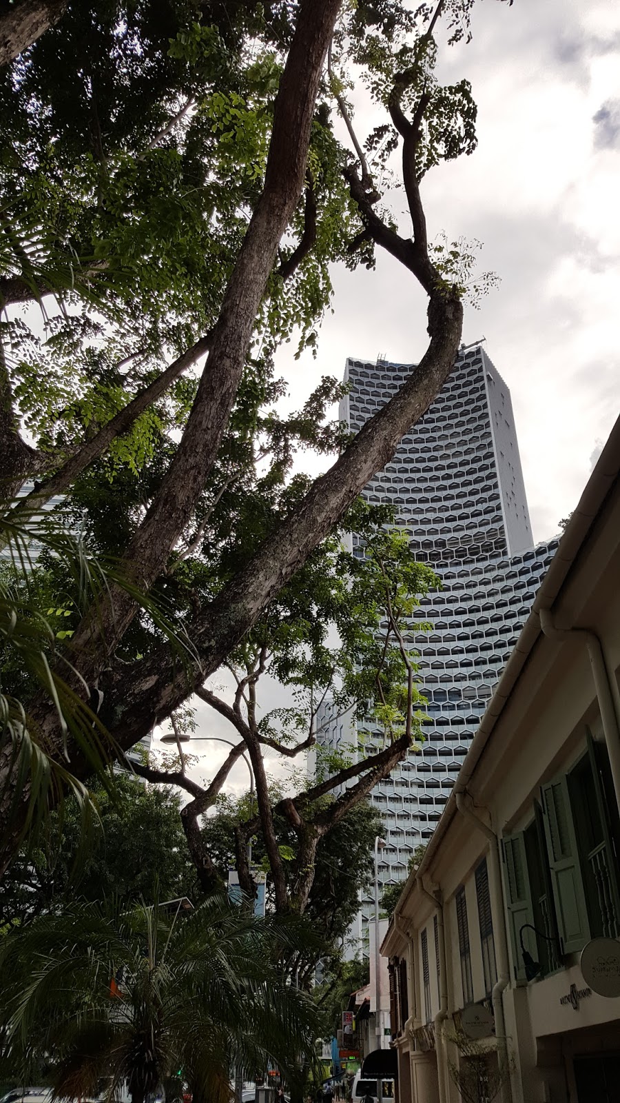 David Shoulder - Isle of Wight: 2016