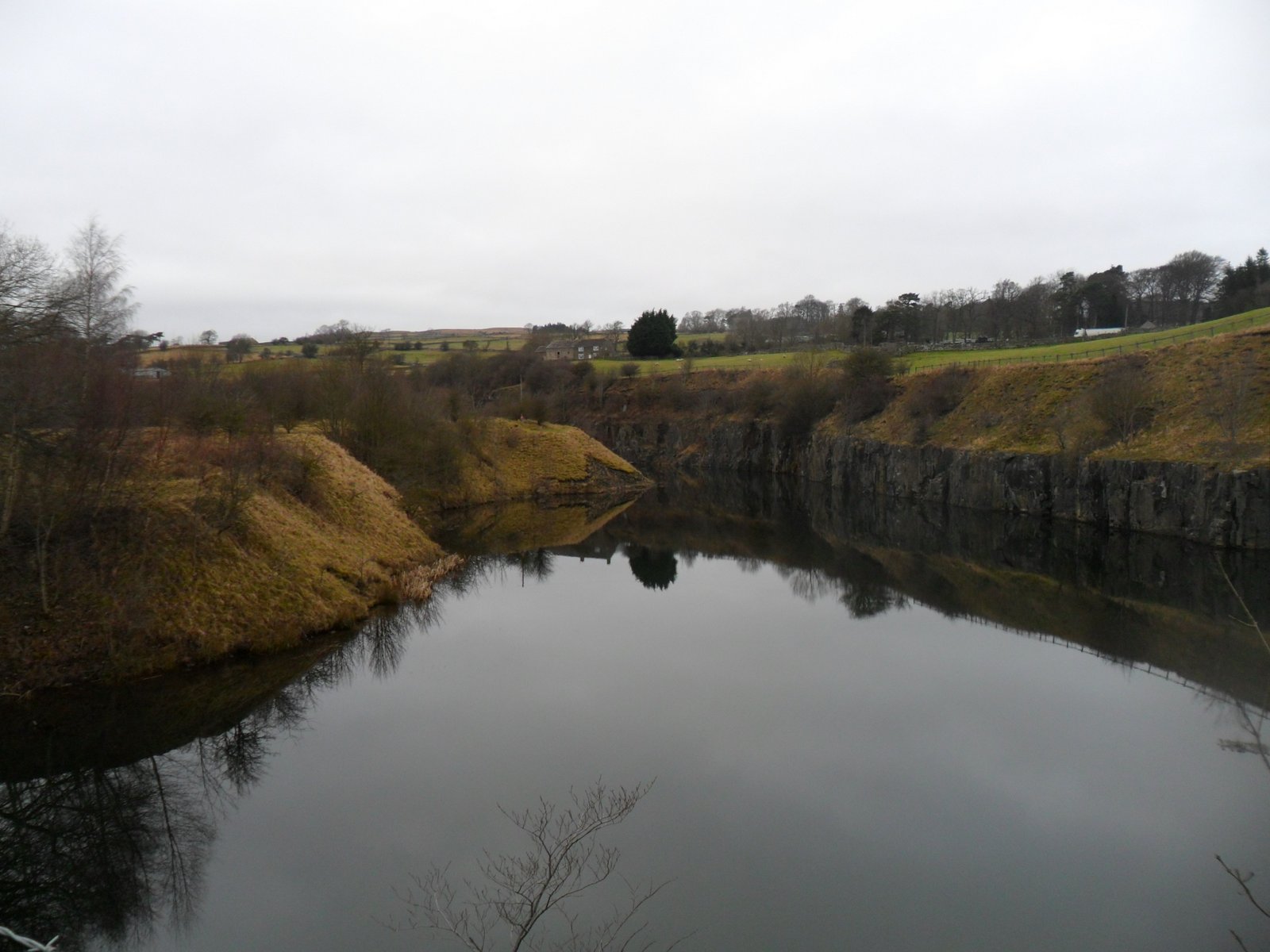 Heather in Cowshill: Stanhope Whinstone Quarry