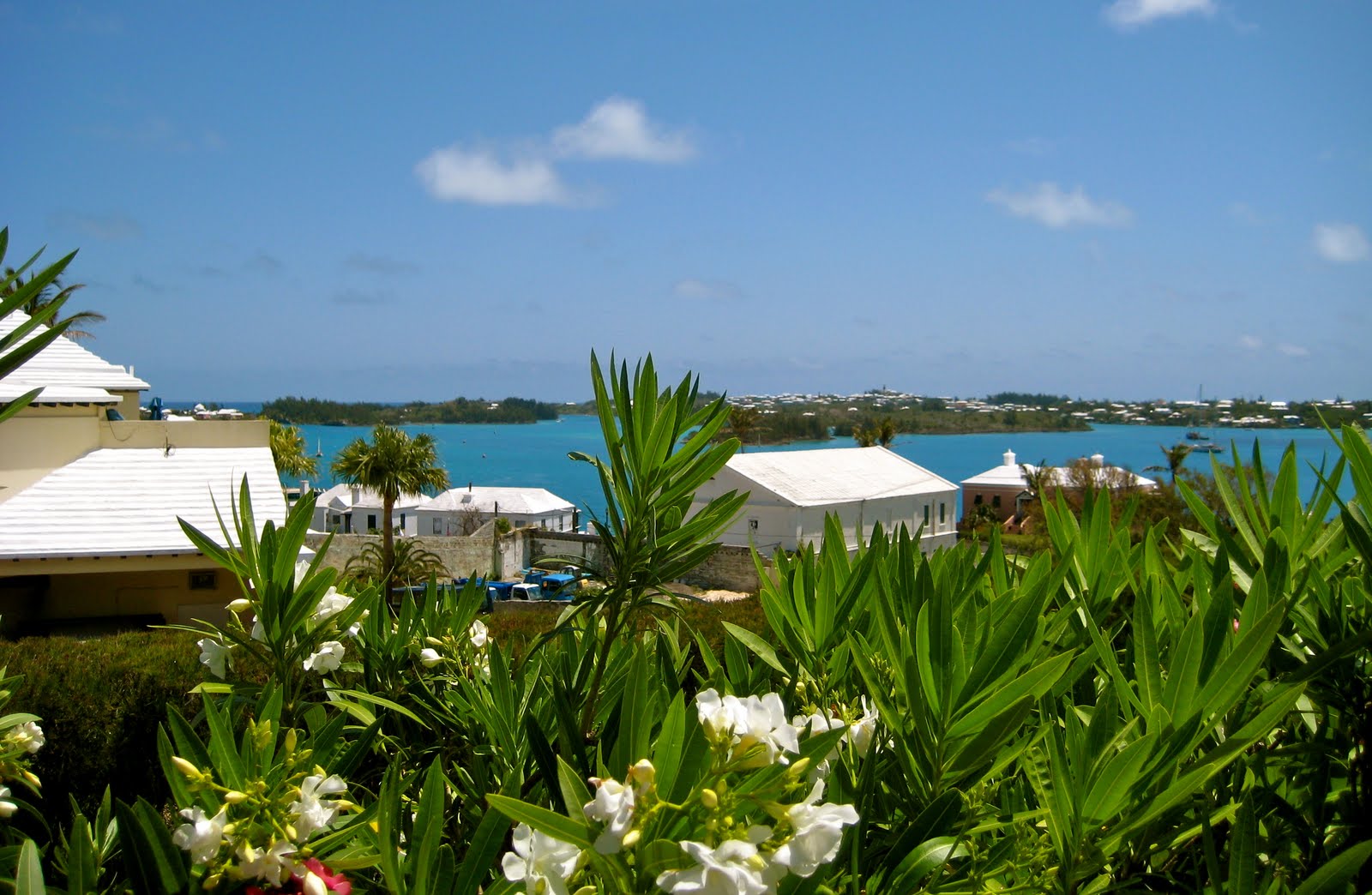 CHICKEN DELIGHT IN BERMUDA