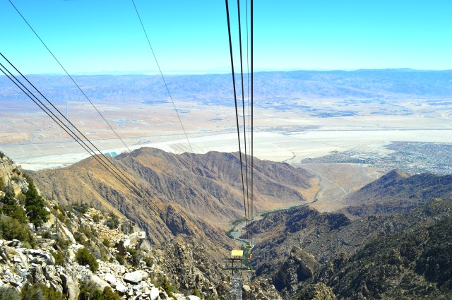 Palm Springs Aerial Tramway: 360 Degrees of Wow | MAPLE LEOPARD