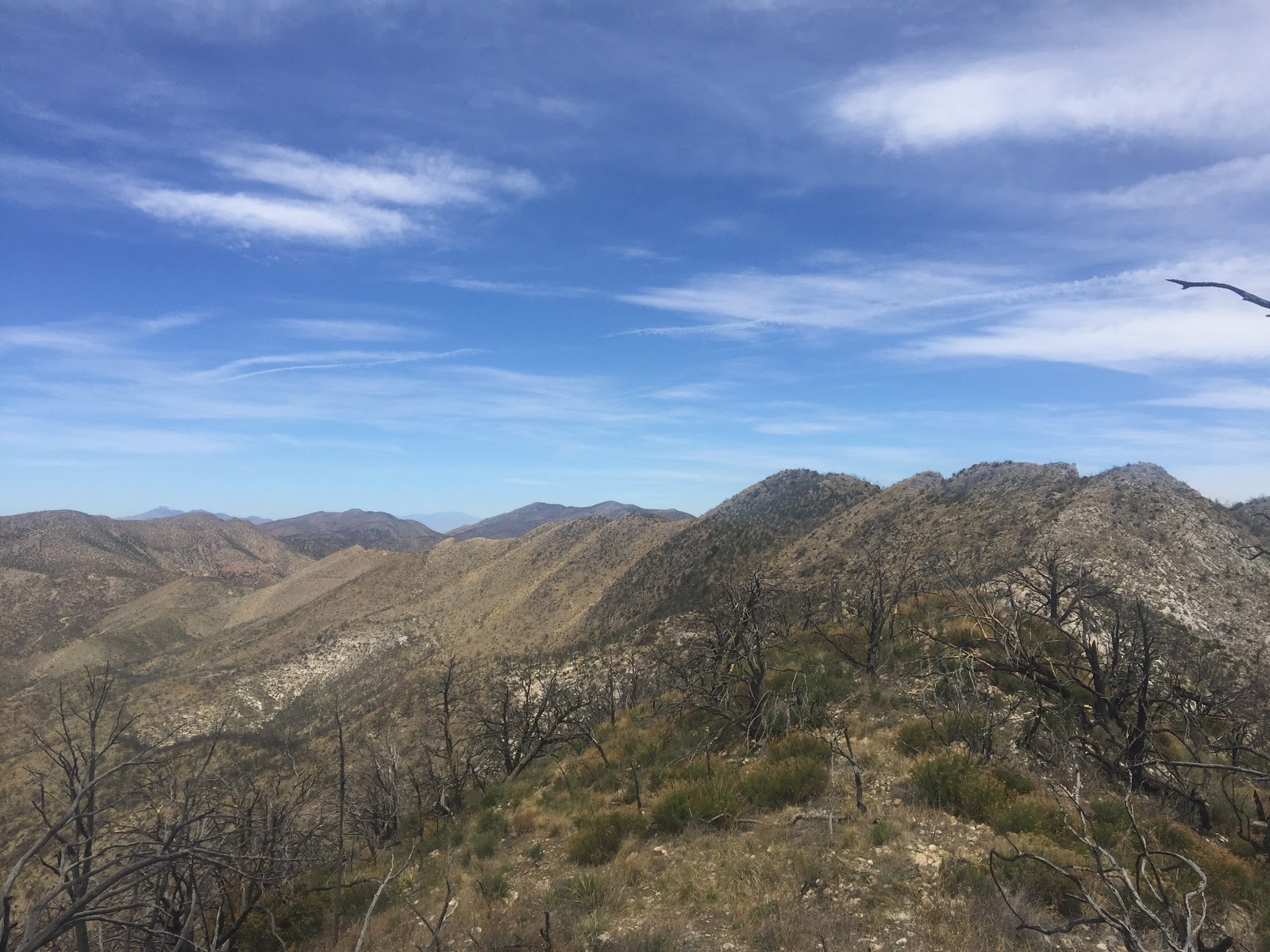 dirtmonger: Sky Island Traverse