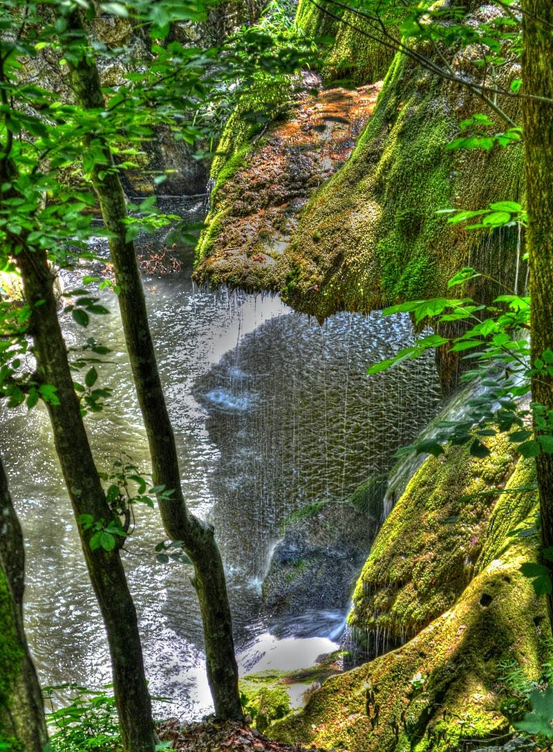 Bigar Waterfall, The Unique Waterfall of Romania