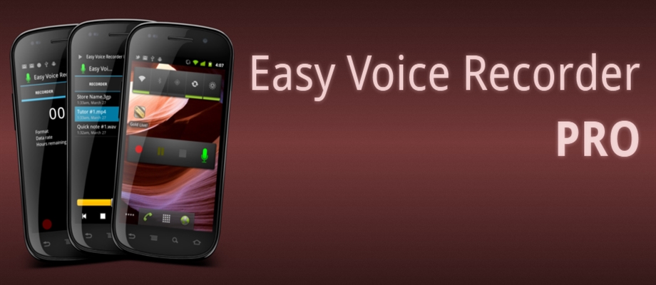 Easy voice recorder - worthyBos