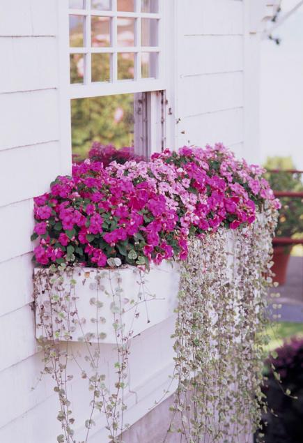 5 DIY Beautiful Window Box Planters