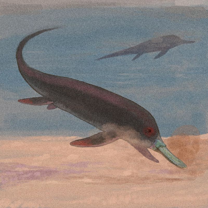 Kriptozoológia - Az állatvilág rejtélyes oldala: Ismertető ...