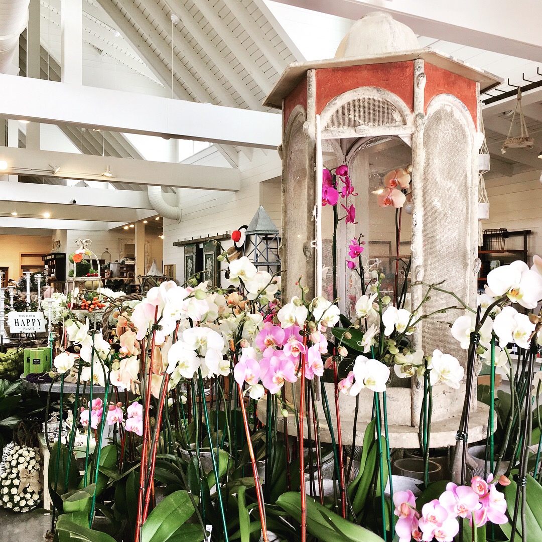 Spring Field Trip to My Favorite Nursery | The Bookish Dilettante