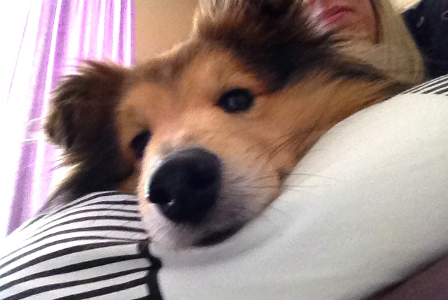 Confess!ons: Mami ♥