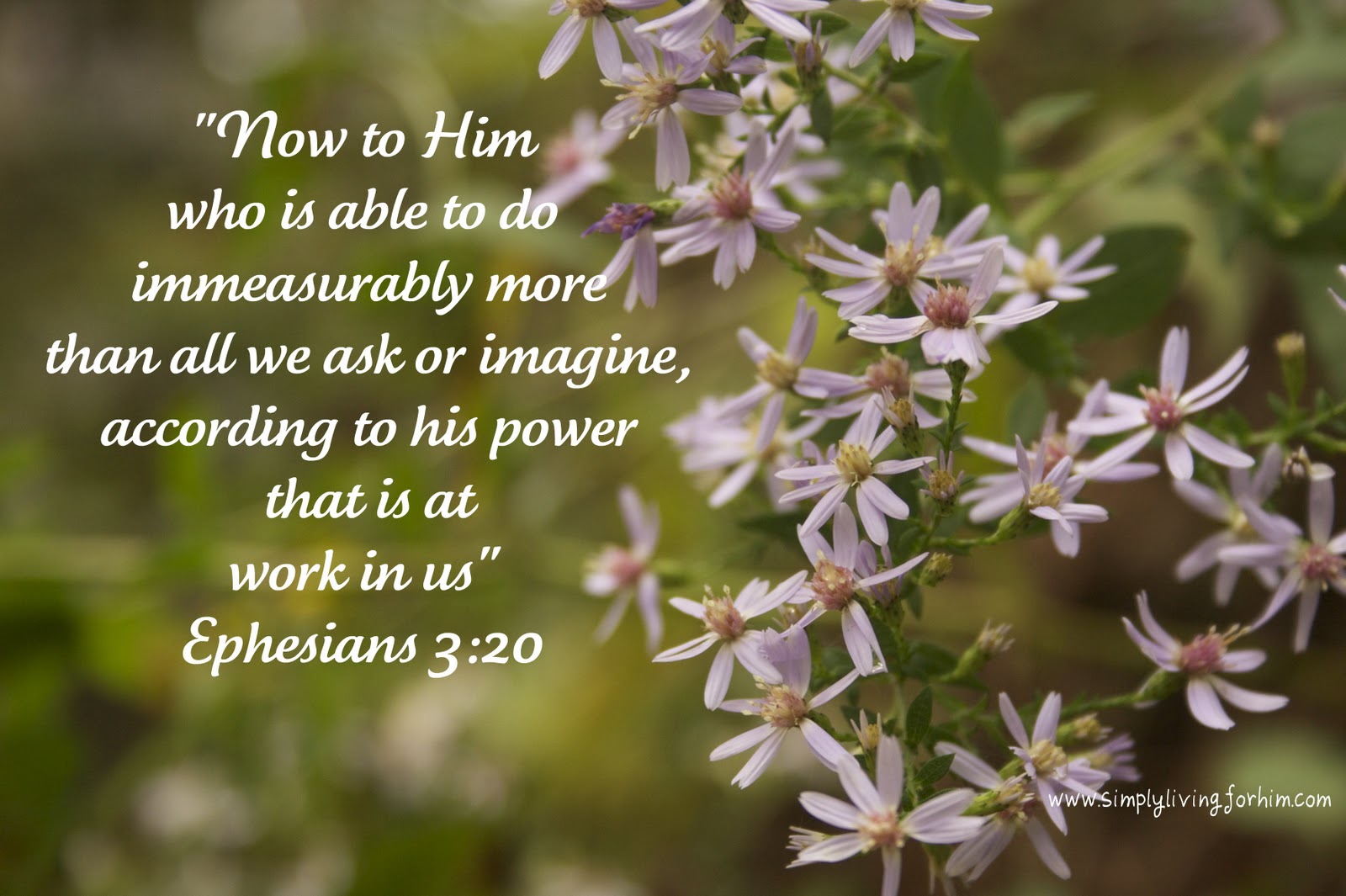 Home Educating Family… – Simply Living for Him