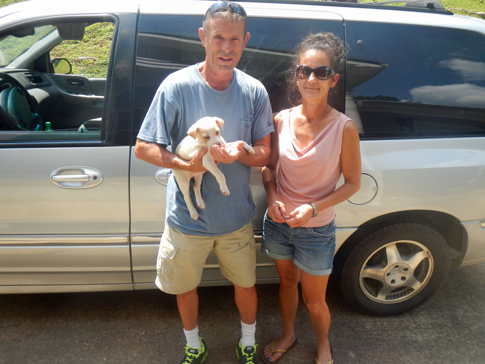 Buckley Mountain Feist Squirrel Dogs: Southern Ohio Mountain Feist