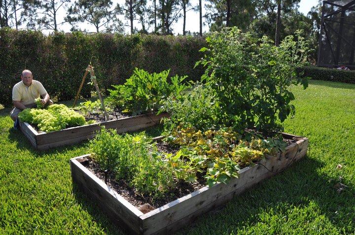 Southern Living: Preppy Style: Garden Update - It's HUGE!