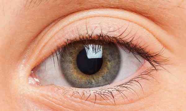 Tutorial Infinite Design - Cara Mudah Membuat Mata Vector