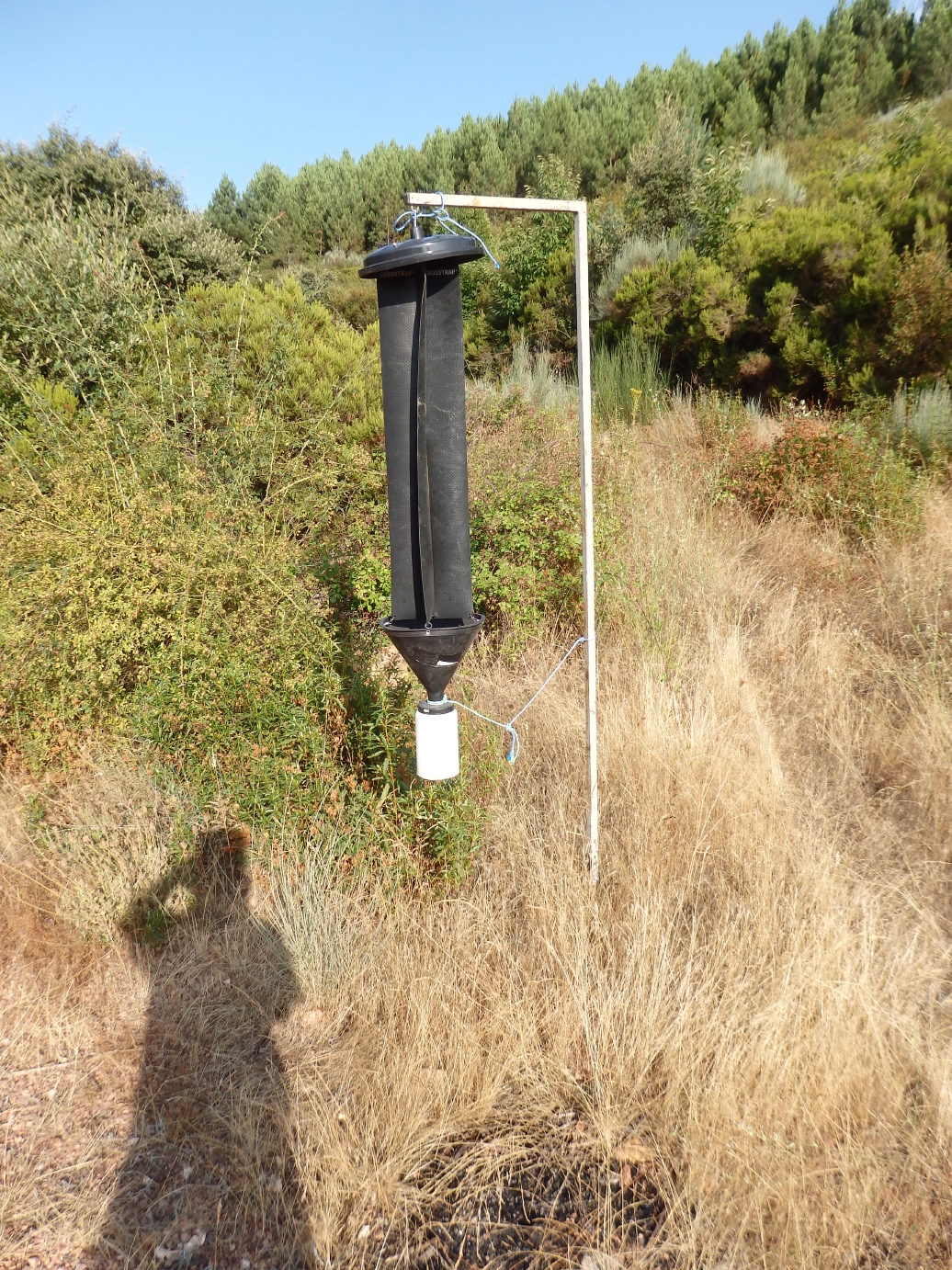 Alma de herrero: Trampas para insectos CROSSTRAP